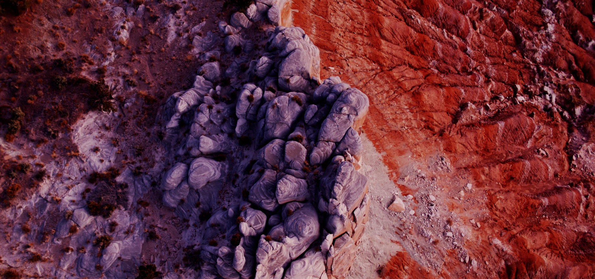 2025 Outlook | Navigating a Shifting Landscape